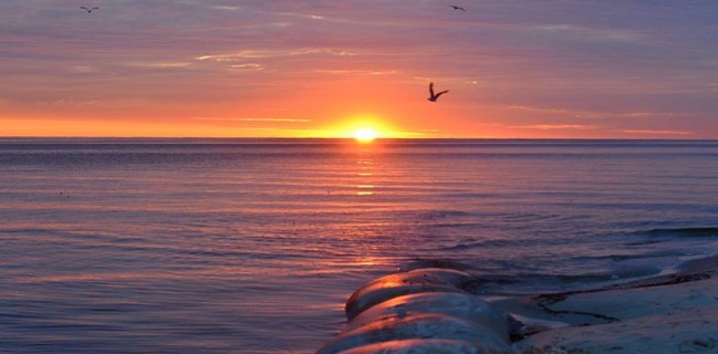 Town of Bowers | Kent County, Delaware