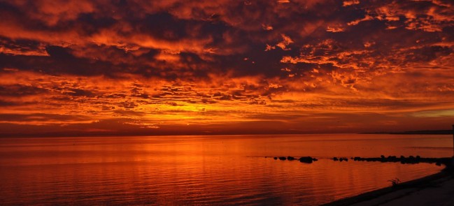 Town of Bowers | Kent County, Delaware